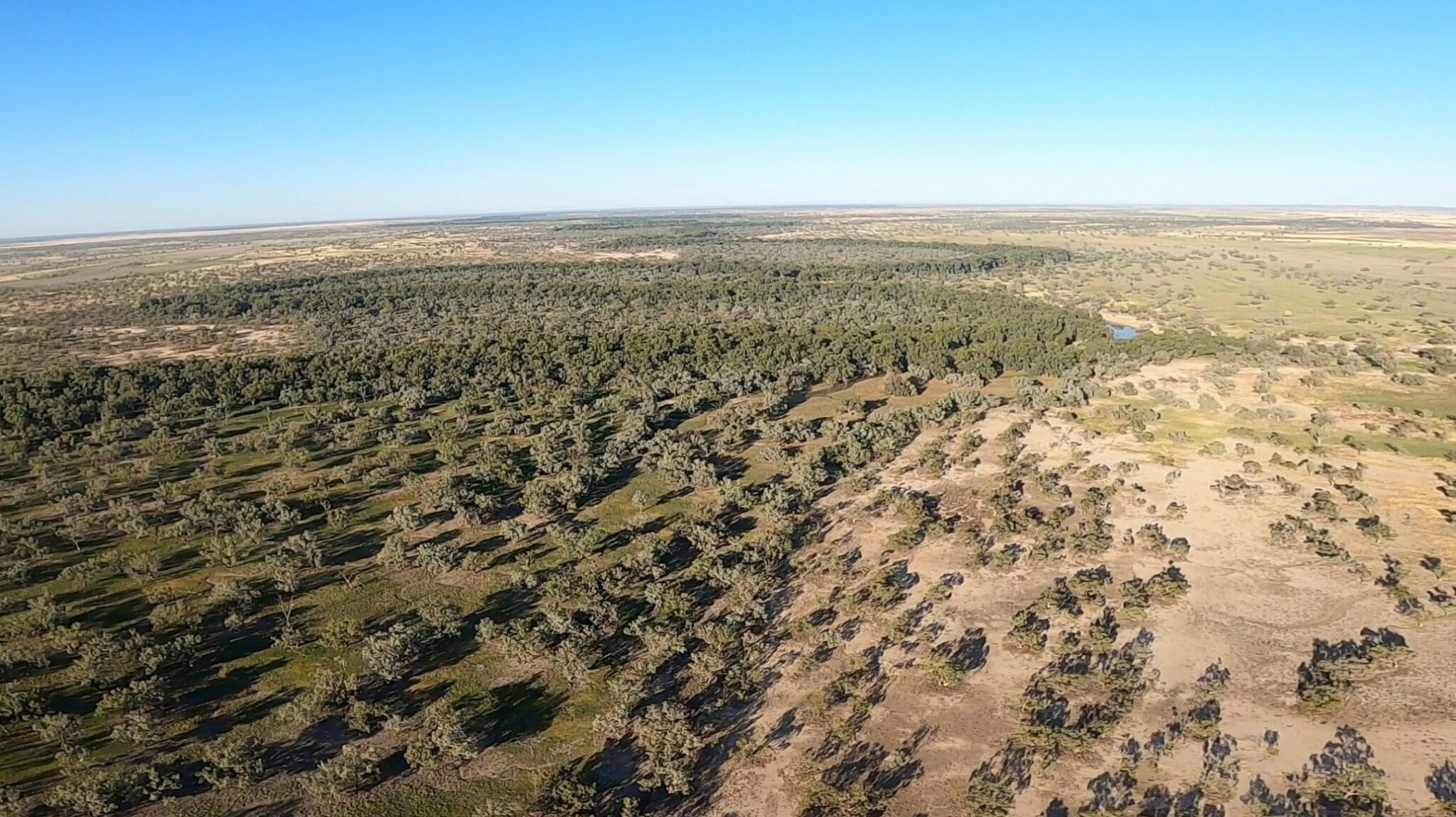 Our Services - IntegrityAg