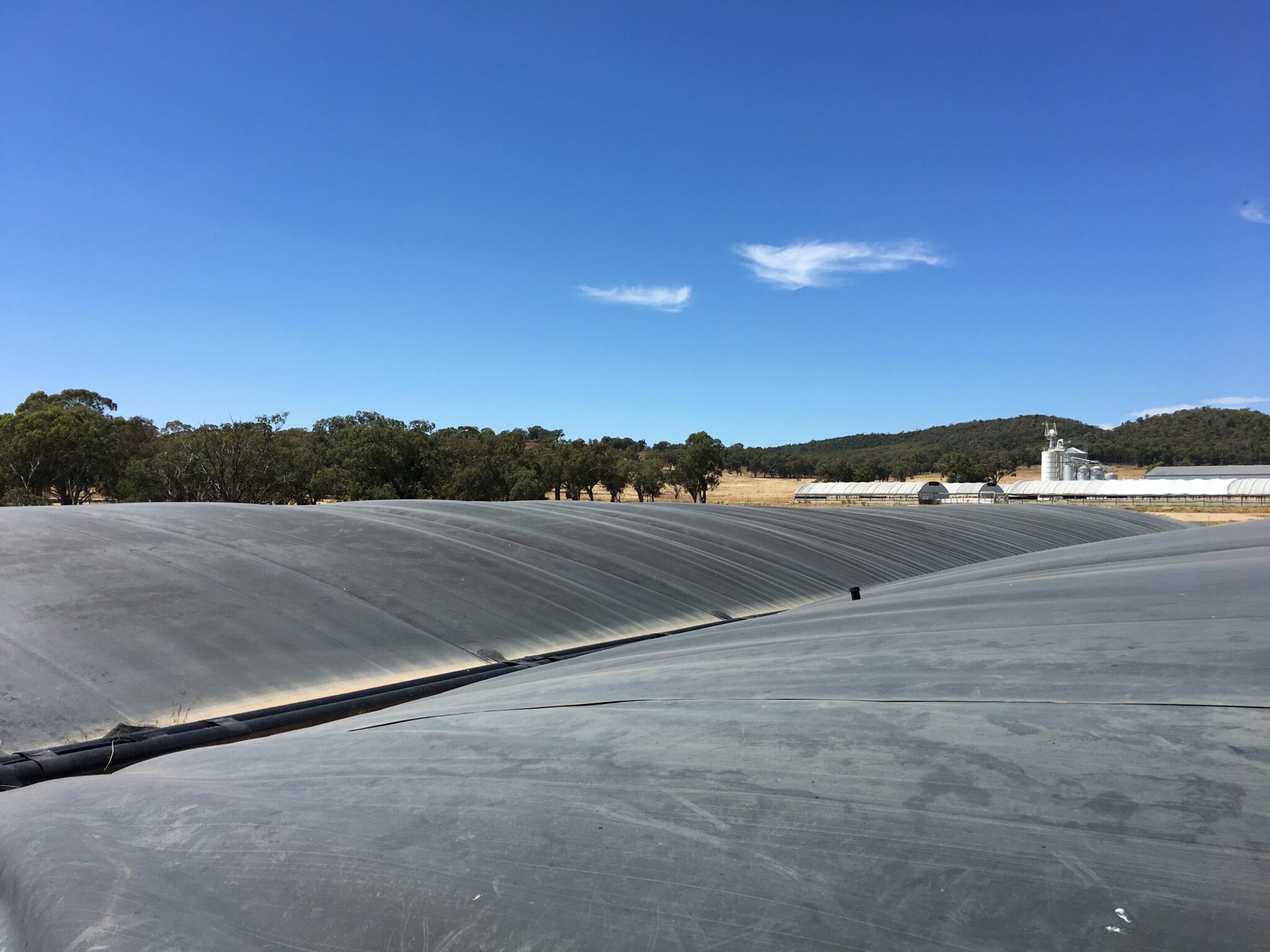 IntegrityAg | Agri-Environmental Consultancy