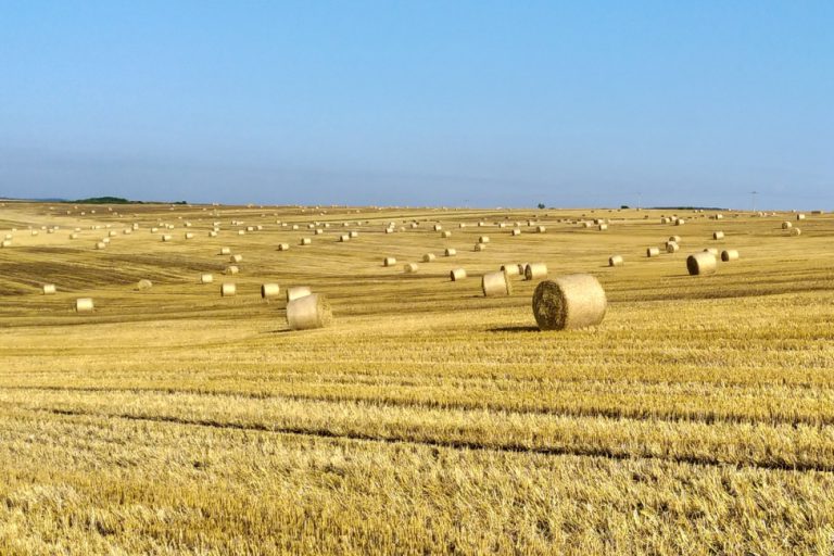 Publications - IntegrityAg