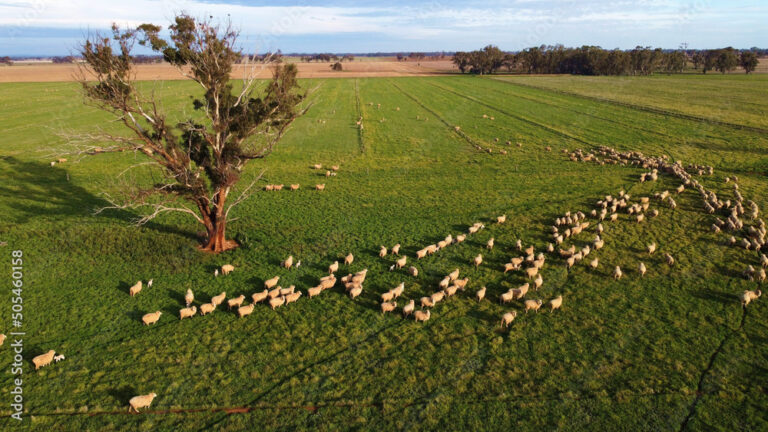 IntegrityAg | Agri-Environmental Consultancy