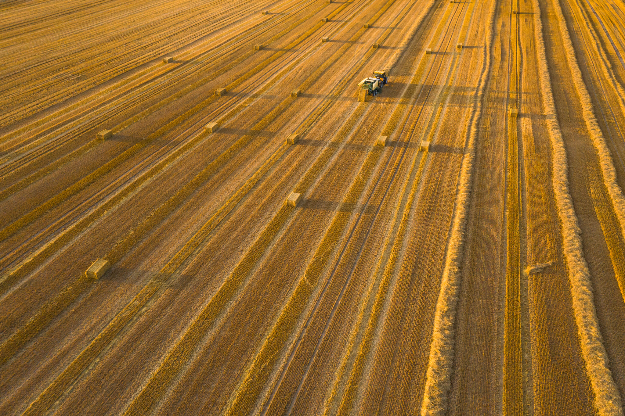 Contact Us - IntegrityAg